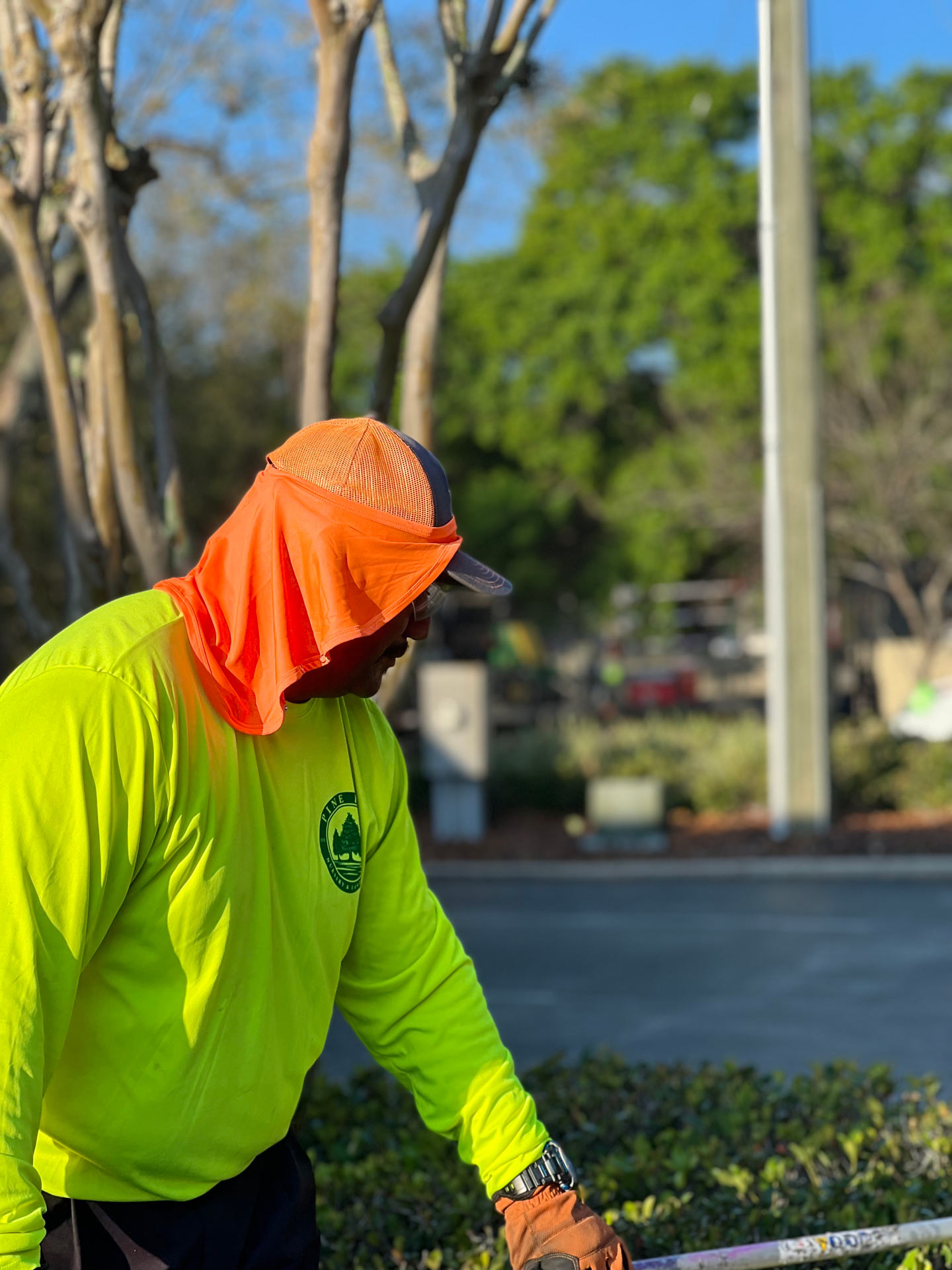 Industries - Sun Mullet